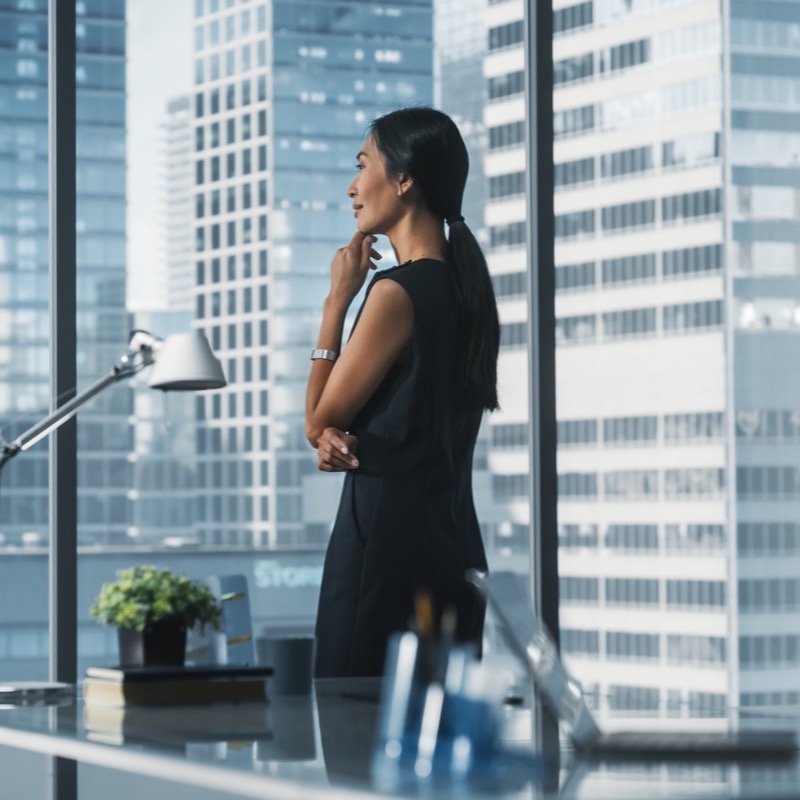 Executive Coaching - Partners International